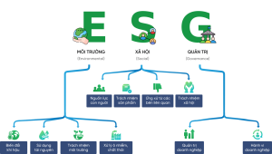 ESG là gì? Tiêu chuẩn ESG là gì? 1 số chính sách, quy định về ESG tại Việt Nam và trên thế giới ...